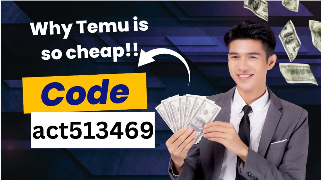 Why Temu is so cheap 2024 - Money Hinter